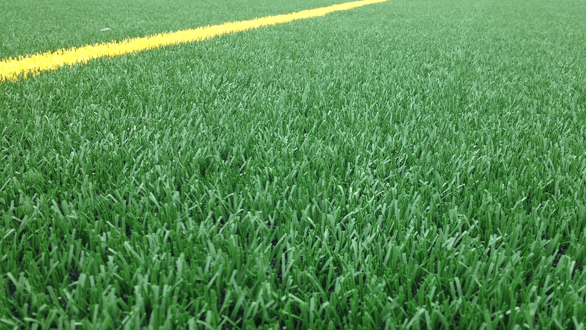 FIELDTURF POLIGRAS, SOCIEDAD ANÓNIMA. JUNTA GENERAL ORDINARIA Y ...