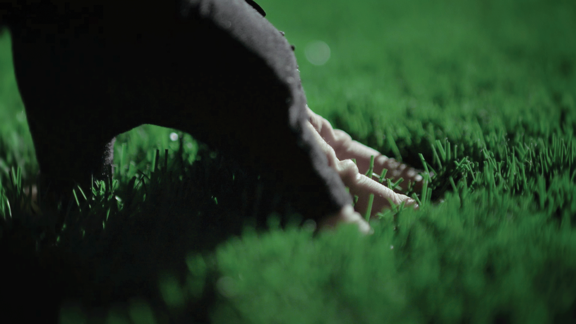 FieldTurf CORE: The World’s First Super Fiber