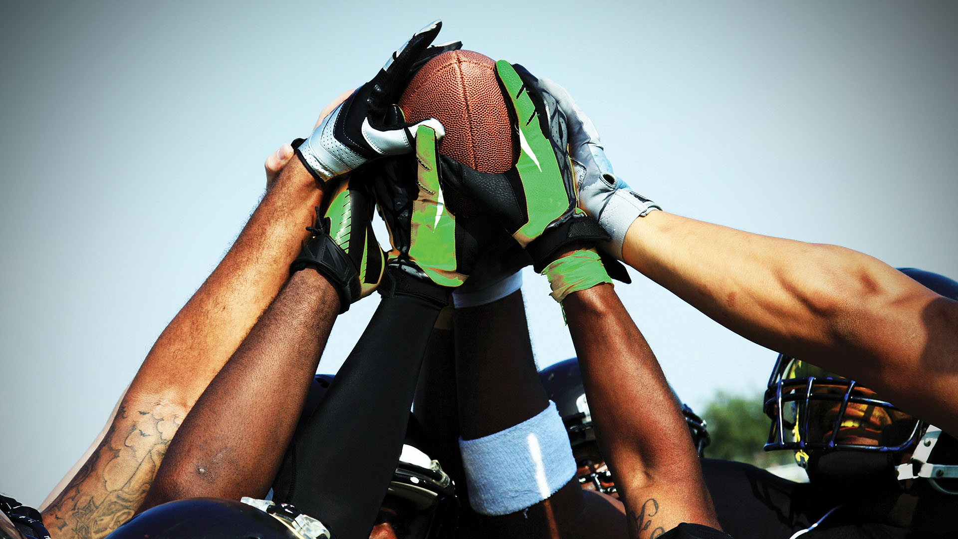 Trusted - Artificial Turf, Coach References - FieldTurf